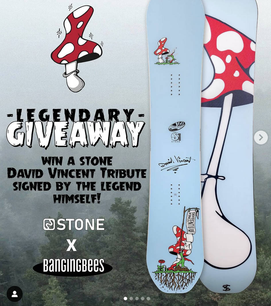 1 board David Vincent Tribute signée valeur 549