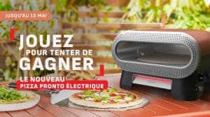1 four à pizza électrique Pizza Pronto de Tefal